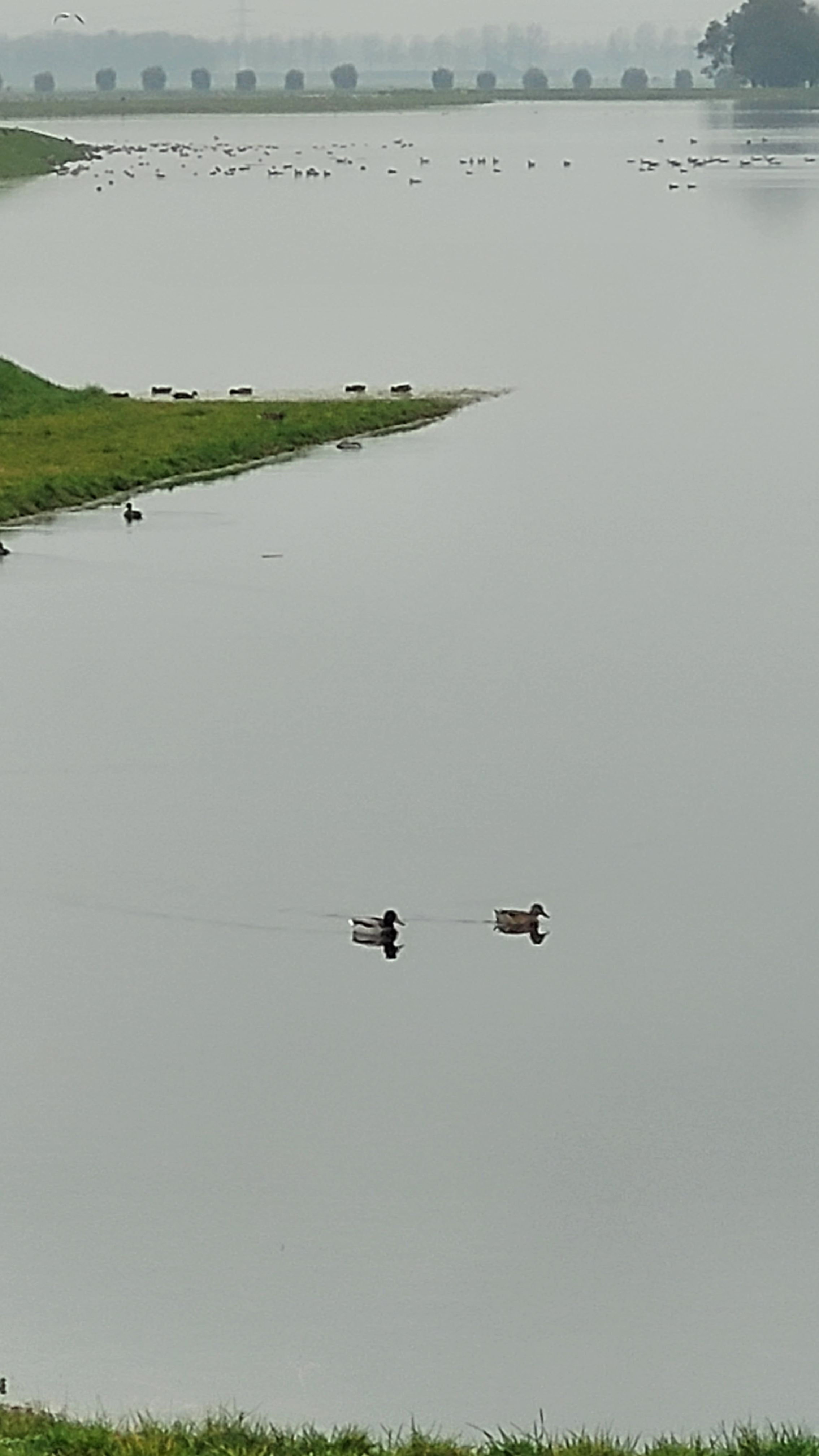 Abbenes Online - Nieuws